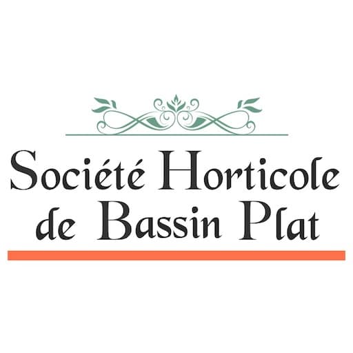 Shbp Logo